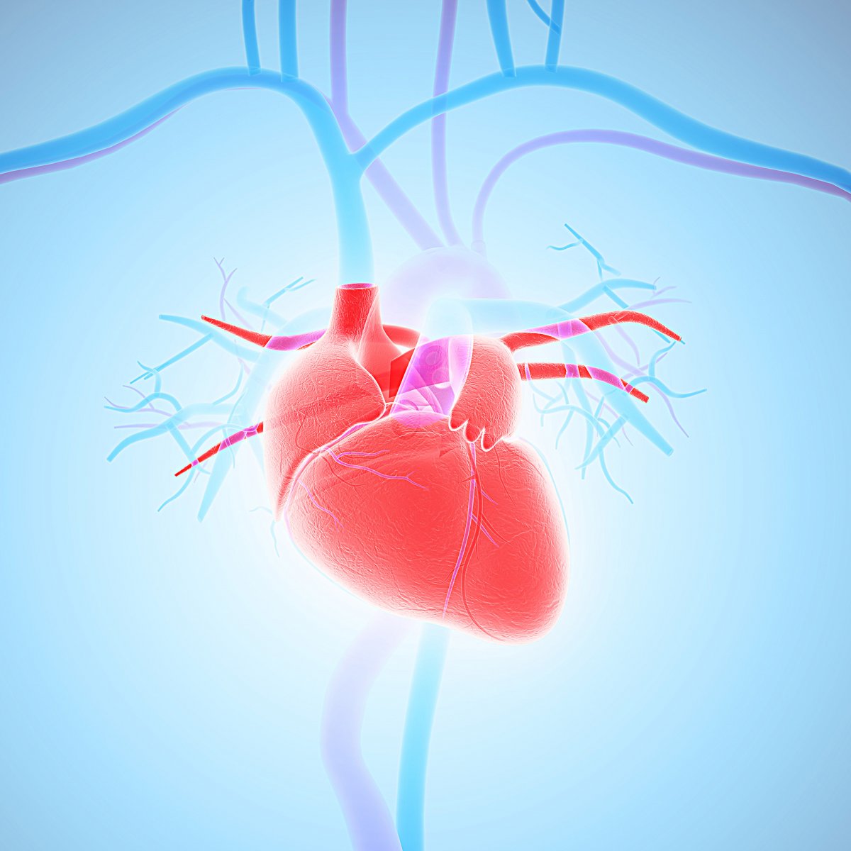 The Heart Center of Northeast Georgia Medical Center Now Offering ...