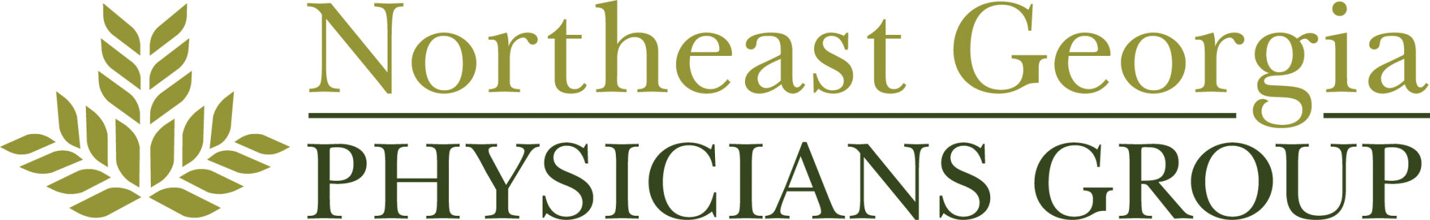 Practice Medicine Here - Northeast Georgia Health System
